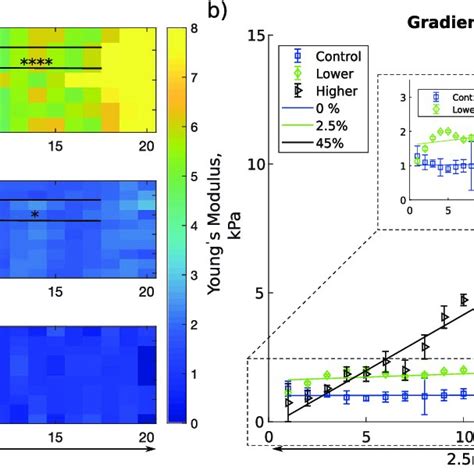 a spatial mapping of the elastic modulus of control gel and lower and