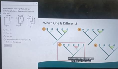Solved Which Of These Trees Depicts A Different Relationship Chegg Com
