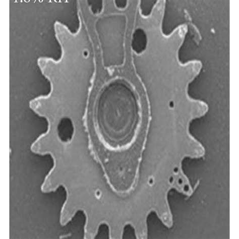 PDF On MEMS Reliability And Failure Mechanisms