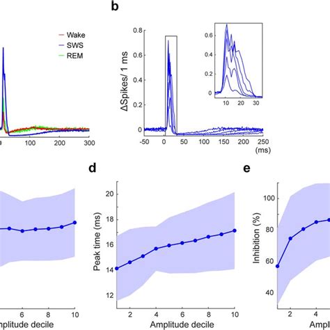 Reduced Feedforward Inhibition In Larger Responses A Peri Stimulus Download Scientific