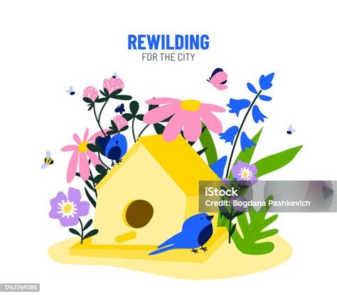 Rewild 벡터 일러스트 레이 션 개념입니다 새와 대형 야생화와 곤충이 있는 Bildbox 생물 다양성 개념 토착 종의 탄력적인 서식지 생태계와 자연을 새롭게 합니다 새에