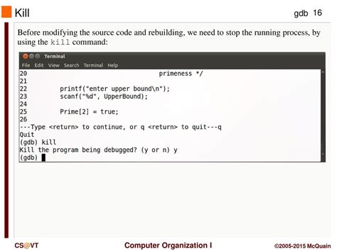 The First Real Bug Ppt Download