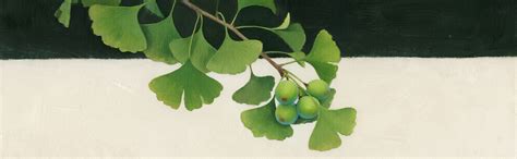 Qt容器qlist、qlinkedlist、qvector特性浅谈qlist本质 Csdn博客 Qt容器qlist、qlinkedlist、qvector特性浅谈qlist本质 Csdn博客