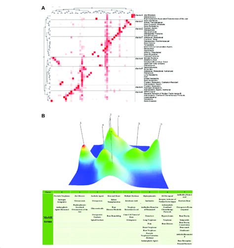 Visualization Of Biclustering Analysis A Matrix Visualization Of