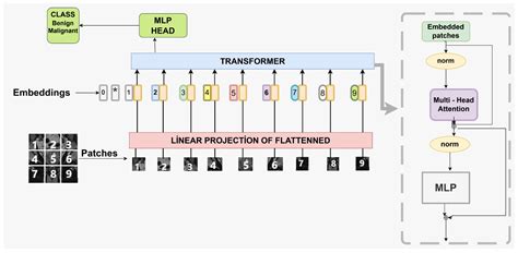 A Classifier Model Using Fine Tuned Convolutional Neural Network And Transfer Learning