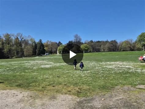 파란 하늘 아래 초록 들판 위에 하얀 데이지 꽃 위를 노니는 딸들 보고만 있어도 행복합니다😍 Gee Bum Park