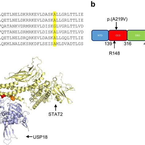 Model Of Type I Interferon Ifn Signalling Pathway And Regulation A