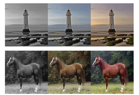 干货史上最全的Tensorflow学习资源汇总 知乎