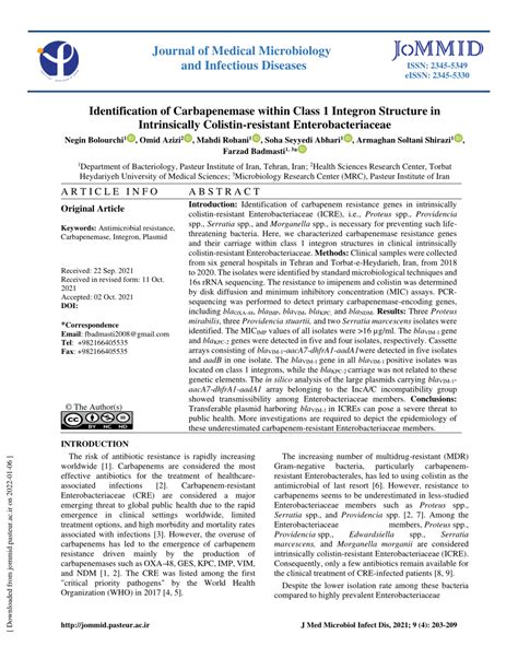 Pdf Identification Of Carbapenemase Within Class 1 Integron Structure In Intrinsically