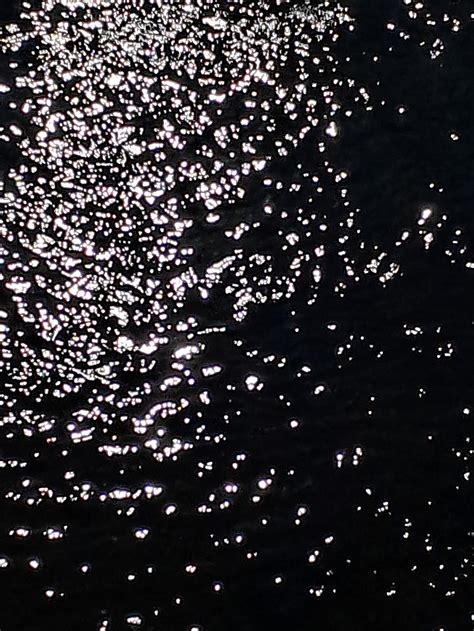 작가수첩 물 구경