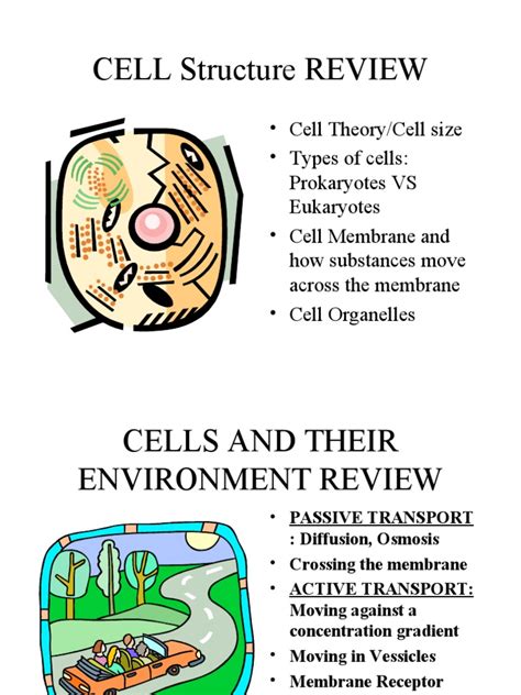Cell Structure Notes Pdf Cell Biology Biophysics