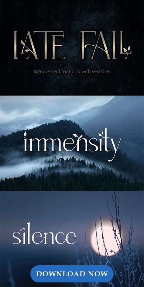 Late Fall Floral Font Duo A Serif Font By Innire Fall Fonts