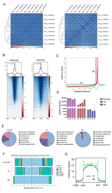 The Distribution And Features Of Cis Regulatory Elements In Pig Liver