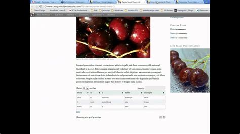 thesis theme tutorial overview of the thesis theme for wordpress seo