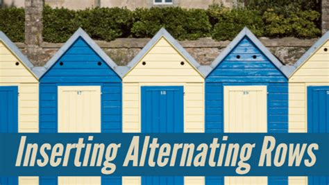 Inserting Alternating Rows Excel Tips MrExcel Publishing