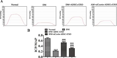 Adscs Exos Restored Erectile Function In Diabetic Rats Via Delivery Of