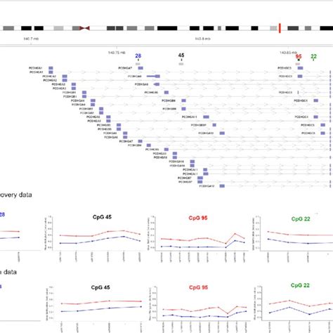Gastric In Silico Set Unsupervised Hierarchical Clustering Analysis
