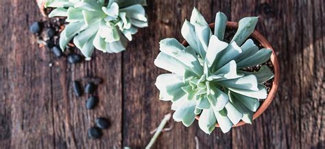 Nikon D750 Shutter Woes And A Word Of Advice Keeping With The Times