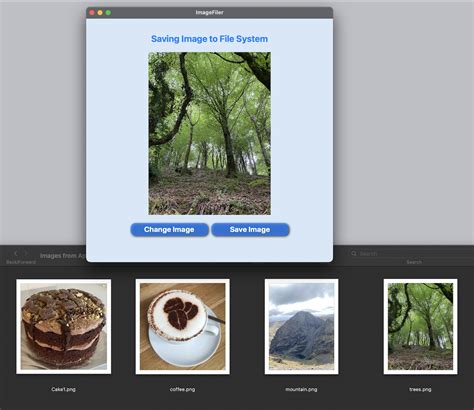 Save An Image To Macos File System With Swiftui Software Development Notes