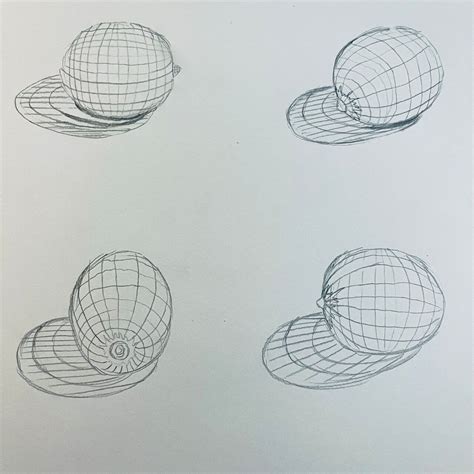 Learn To Draw 3d Forms Understanding Contour Lines With Adriennehodgeart Classes Michaels