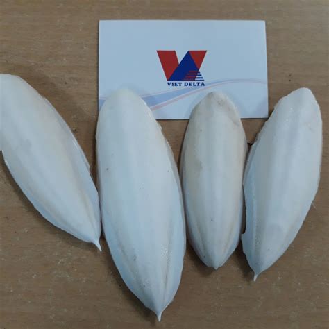 Cuttlefish Bone Dried Cuttlefish Bone Parrot Food Sepia Cuttlebone