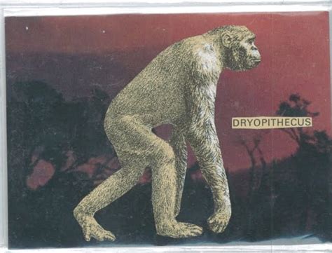 Dryopithecus Sasquatch Chronicles