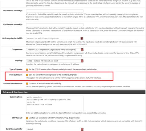Dynamic DNS Gets Cached IP As VPN Client IP Netgate Forum