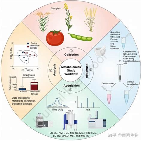 综述：植物代谢组学过去十年研究进展和未来展望 知乎