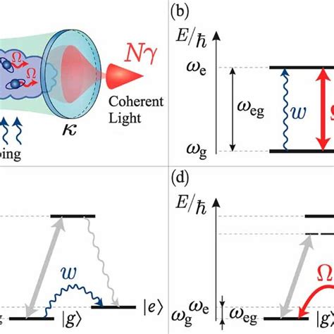 A Ensemble Of N Two Level Atoms With Single Photon Rabi Frequency Ω 2