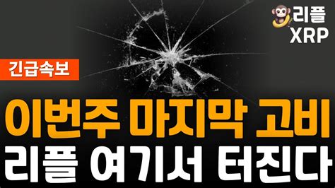 ※긴급속보※ 리플 Xrp 이번주 마지막 고비 이제 여기서 터진다 Youtube