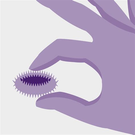 Types Of Toothbrushes Which Is Best For You