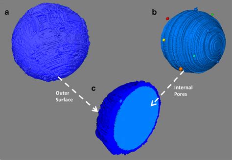 rendered 3d projections of a plga particle a particle outline b