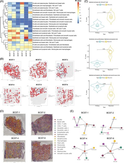 Integrated Single Cell And Spatial Transcriptomic Profiling Reveals
