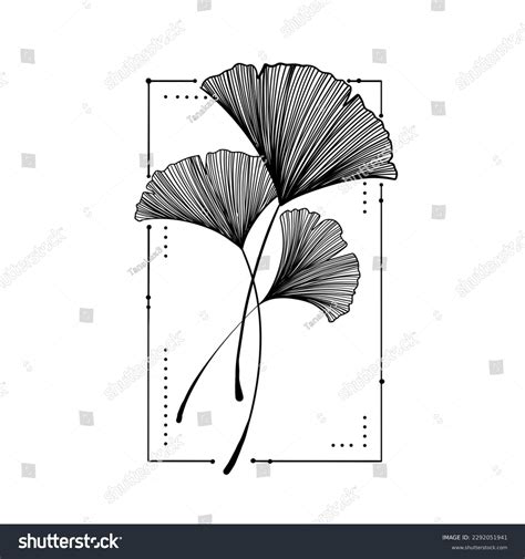 Ginkgo Leaf Clipart
