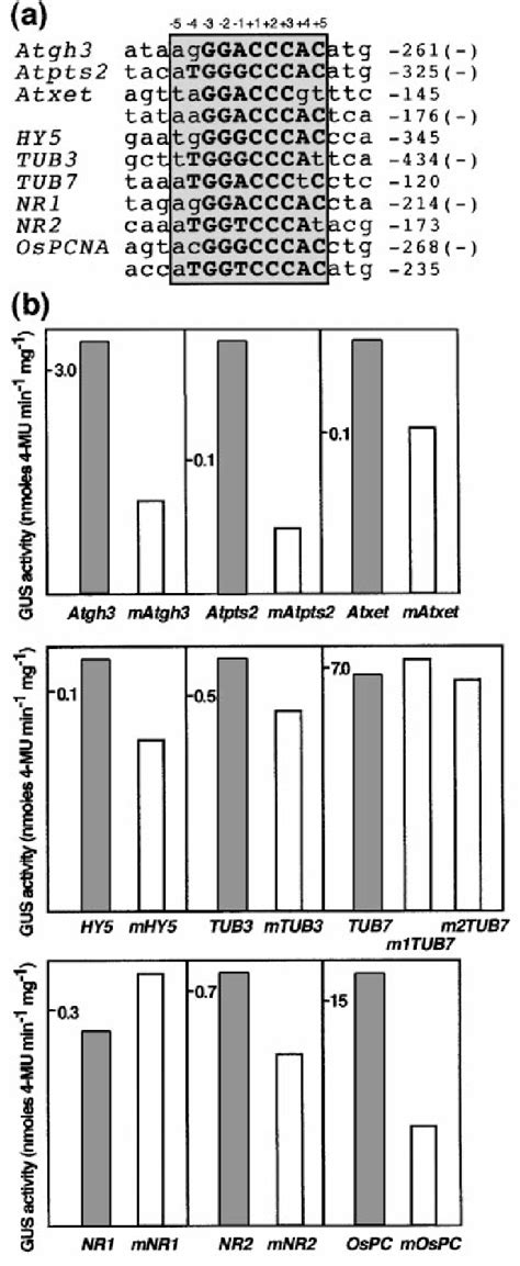 Figure 7 From Dna Binding And Dimerization Specificity And Potential
