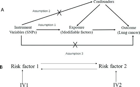 The Basic Principles Underlying Mendelian Randomization Fig 1a Is The Download Scientific