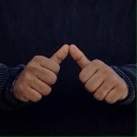 Sign Language Detection Object Detection Dataset And Pre Trained Model By ML