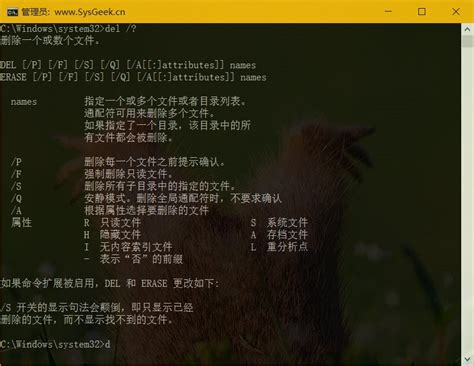 如何正确删除Windows中的超大文件夹 系统极客