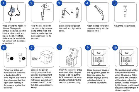 Lamp Testing Vs Pcr At Gary Delariva Blog