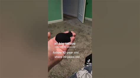 My Cat Maxwells Youtube