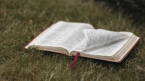 Who Was Caesar In The Bible The Holy Script