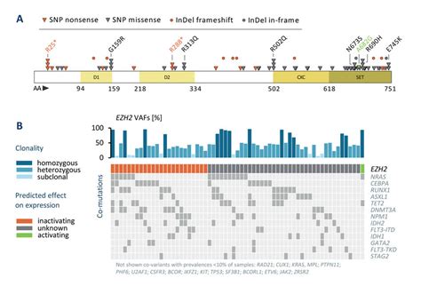 detected ezh2 mutations a schematic illustration showing the