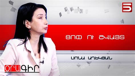 Իշխանության ձեռքը մտել է քաղաքացու գրպանը Սոնա Աղեկյան Youtube