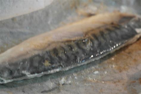 냄새 없이 생선 굽는 법