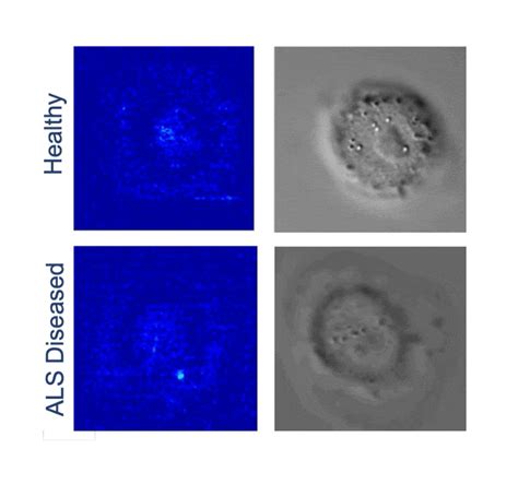 Brillouin Spectroscopy Spectō Photonics