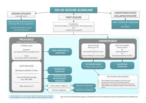 Cme 070716 First Seizure Ed Management Charlies Ed