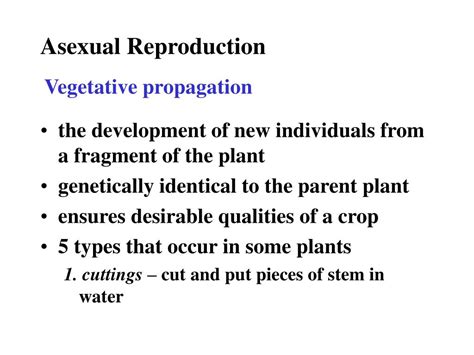 Ppt Angiosperm Plant Reproduction Chap 28 Powerpoint Presentation Id520747