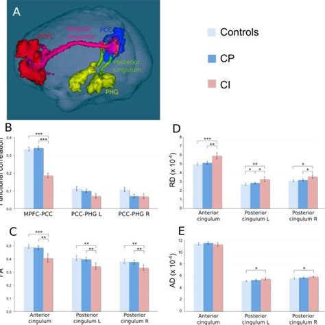 Left Default Mode Frontoparietal Attentional Dorsal Attentional And Download Scientific