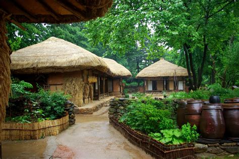 무료 이미지 나무 가려움증 식물 의지 오두막 시골집 옥외 구조물 밀림 경치 농원 에코 호텔 3872x2592 Dae Jeong Kim