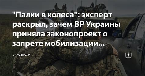 Палки в колеса эксперт раскрыл зачем ВР Украины приняла законопроект о запрете мобилизации